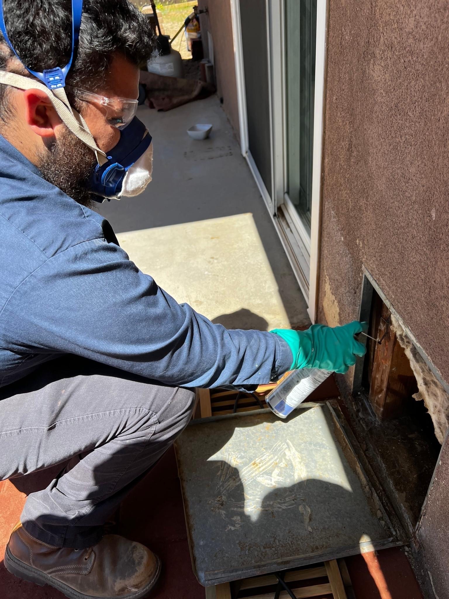 Services - Rodeo Pest Control